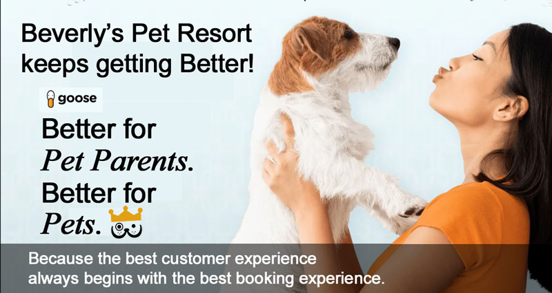 Beverly’s Pet Resort keeps getting Better! – Beverly's Pet Resort Blog
